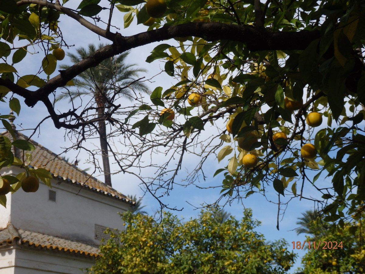 Another Day Alive – Garance Galore